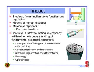 Fiber Optics - Window on Human Biology: Olav Solgaard | PDF