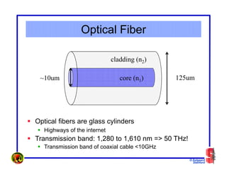 Fiber Optics - Window on Human Biology: Olav Solgaard | PDF