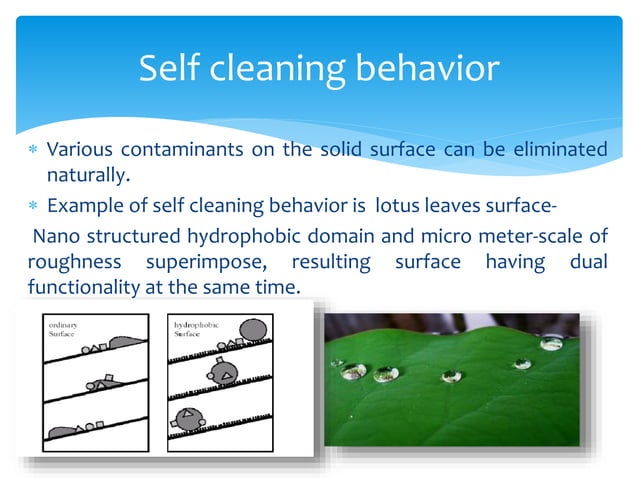 Self cleaning surface with dual functionality | PPTX
