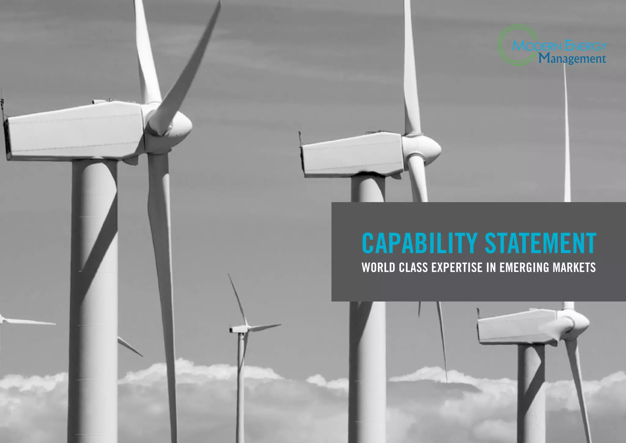 MEM Capabilities Statement 2016_LR | PDF