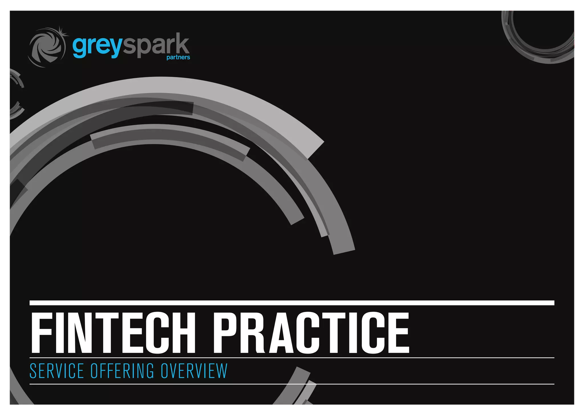 Fintech Practice Brochure | PDF