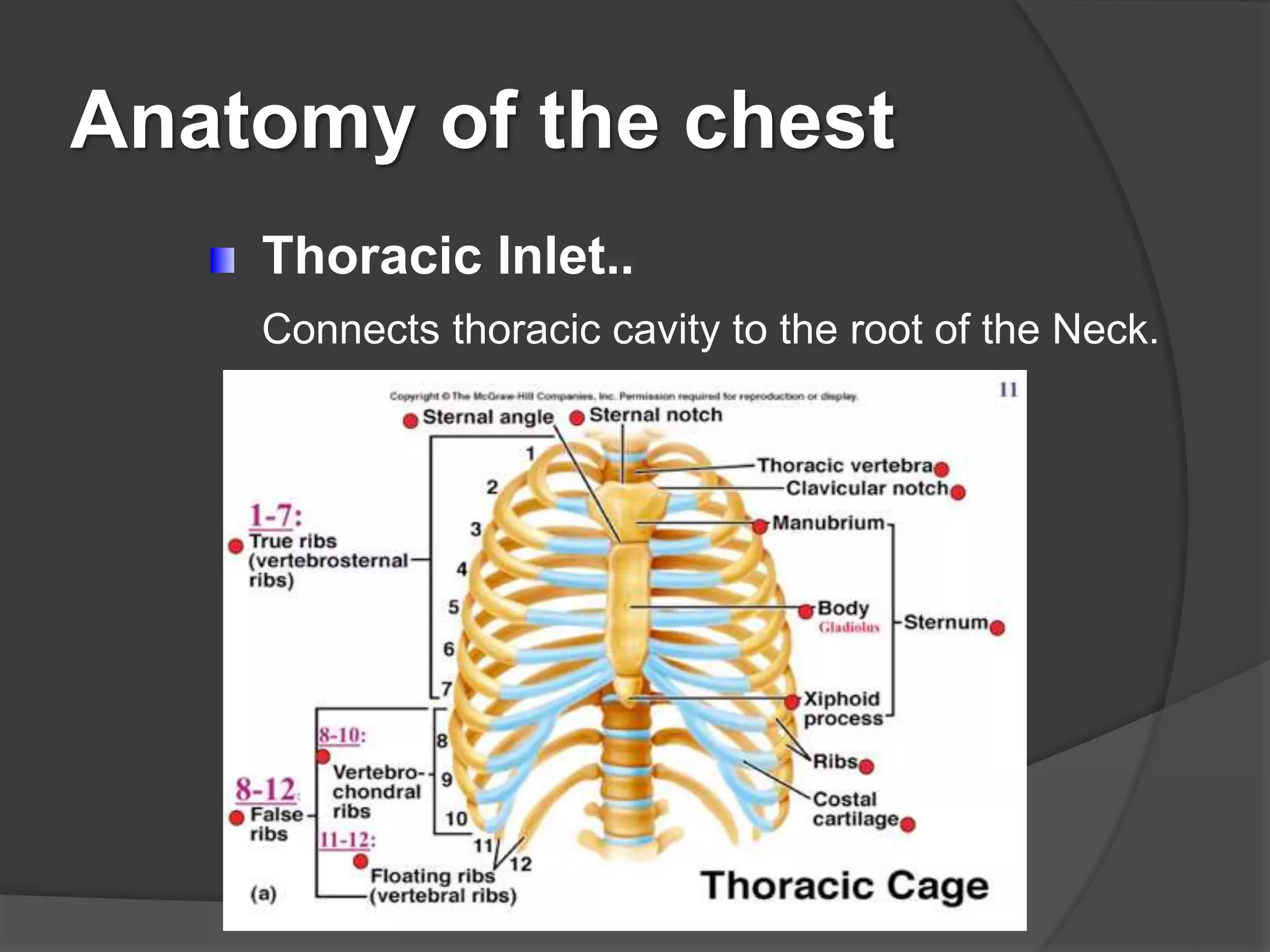 Chest Trauma | PPTX