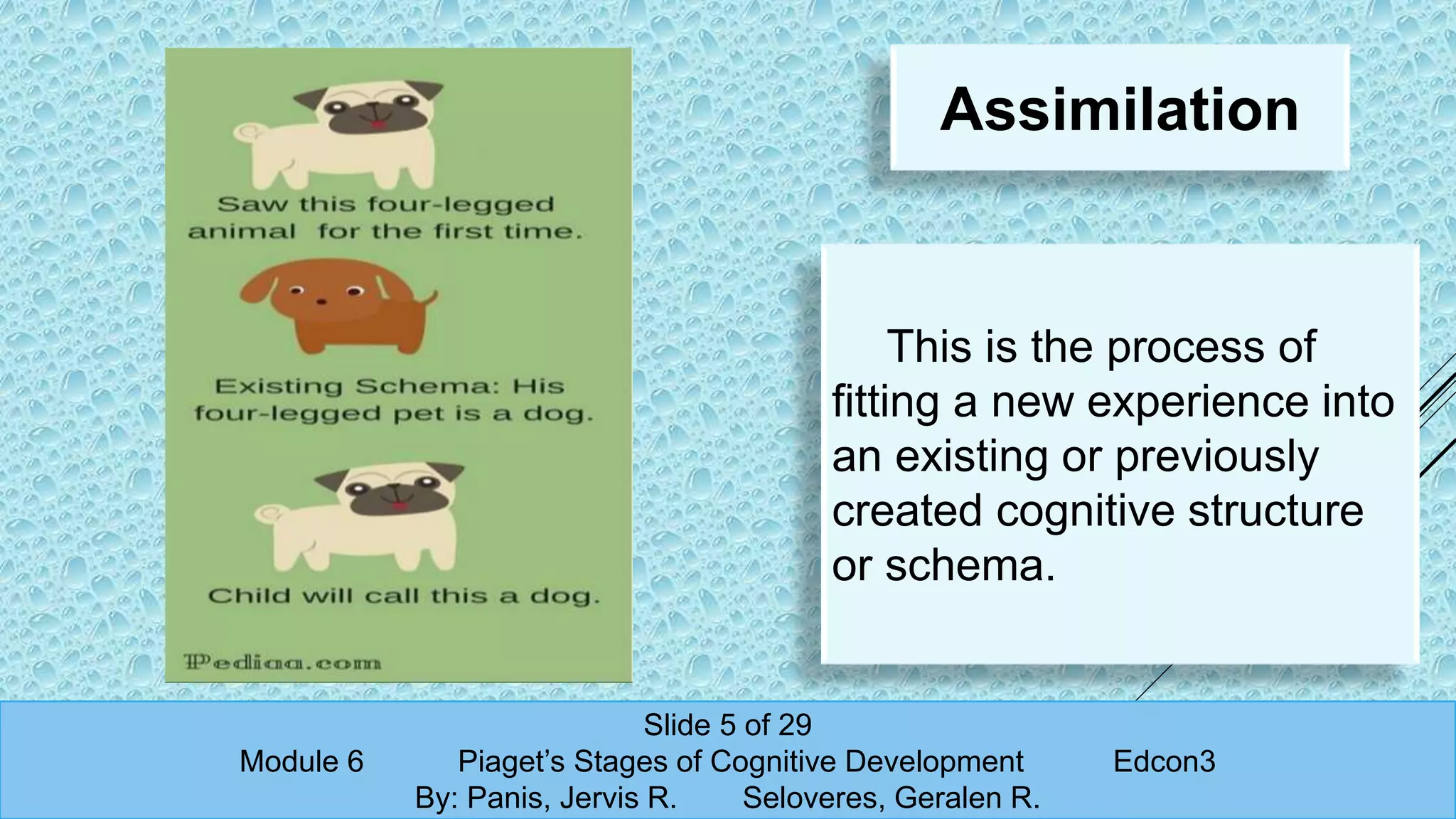 Piaget's Stages of Cognitive Development | PPTX