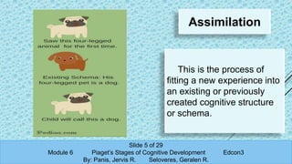 Piaget's Stages of Cognitive Development | PPT