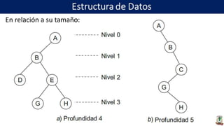 Estructura de Datos - Unidad 4 Estructuras no lineales | PPTX