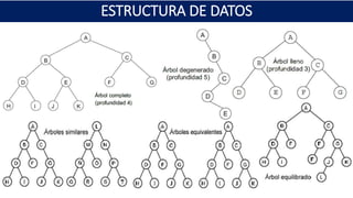 Estructura de Datos - Unidad IV: Estructuras no Lineales | PPTX