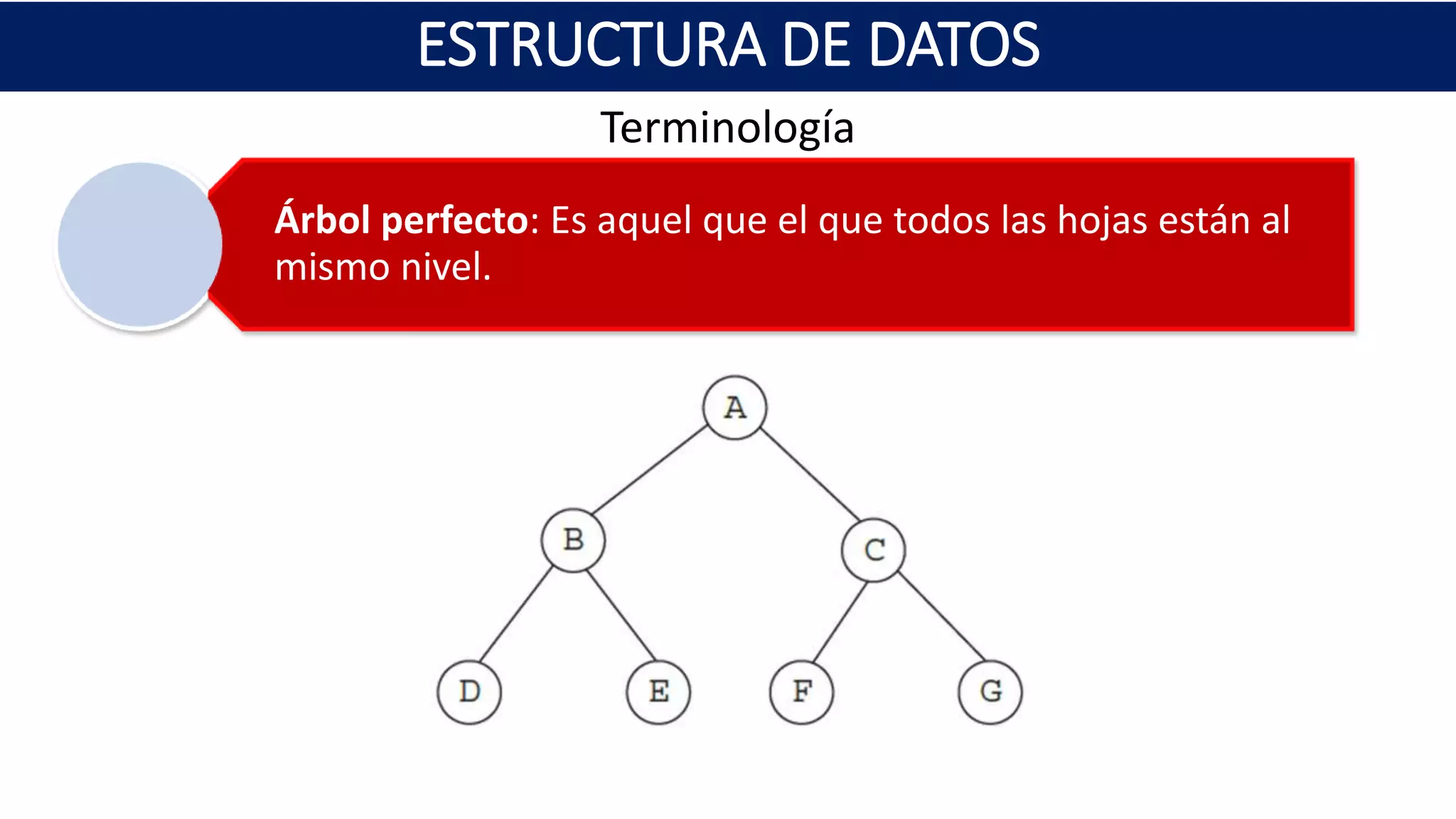 Estructura de Datos - Estructuras no lineales | PPTX
