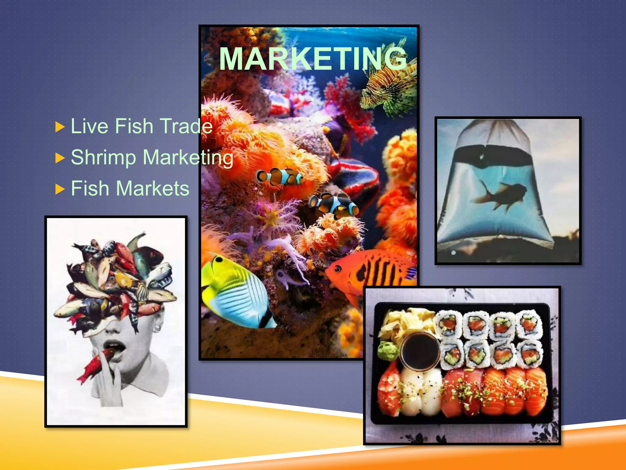 fishing industry | PPTX