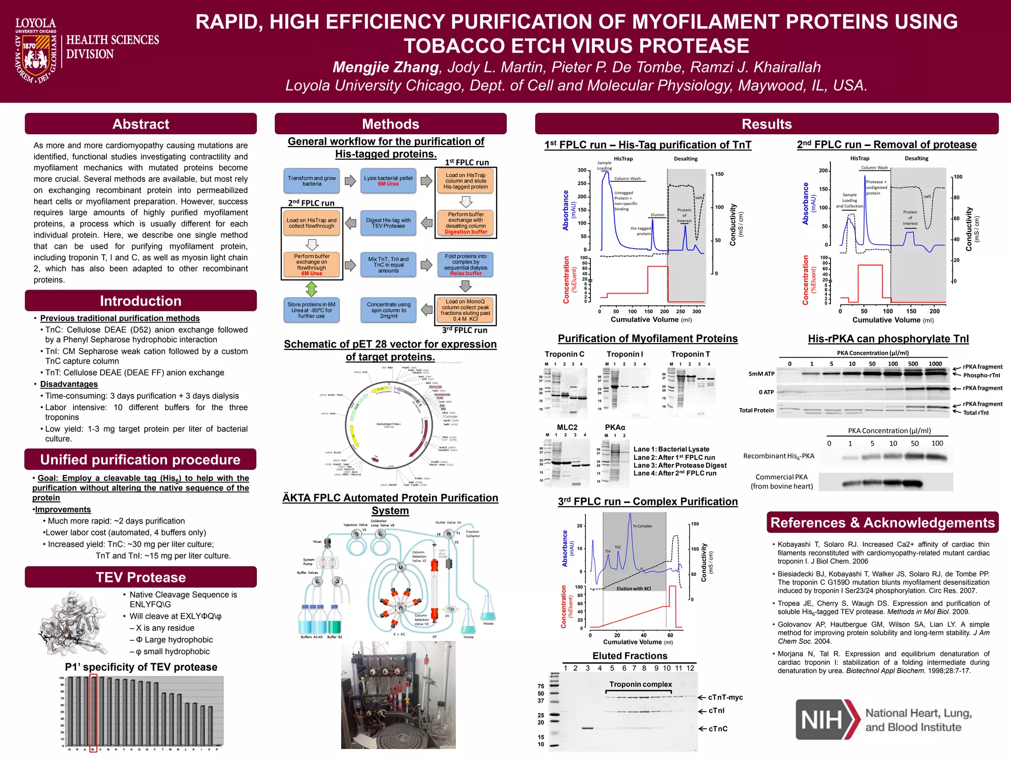 BPS Poster 2015 MZ | PDF | Chemistry | Science