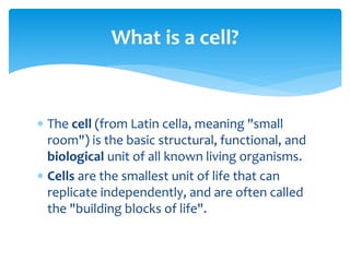 Cell Types | PPT