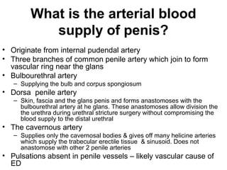 Erectile Dysfunction [Dr. Edmond Wong] | PPT
