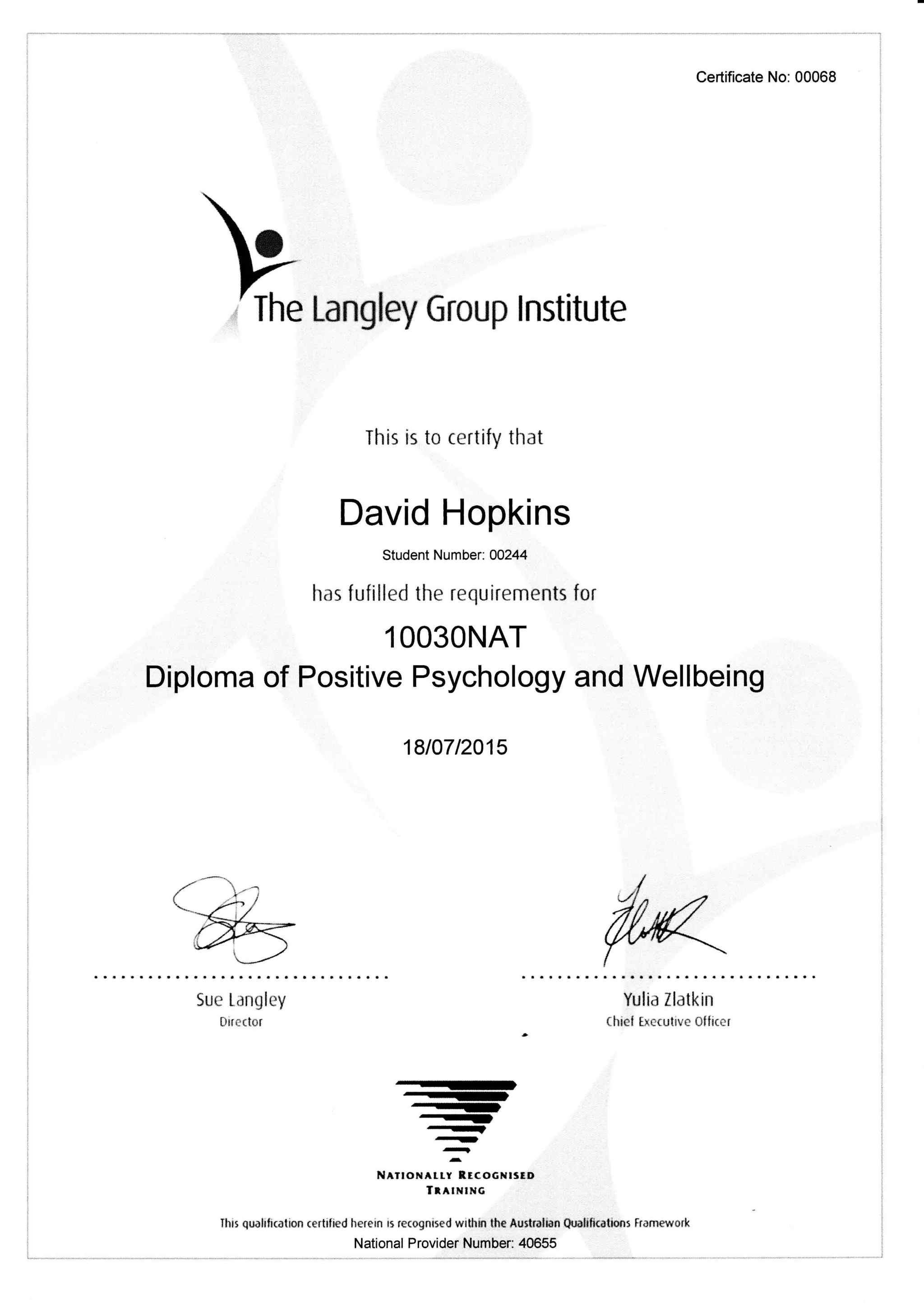 David Hopkins Diploma Positive Psychology | PDF