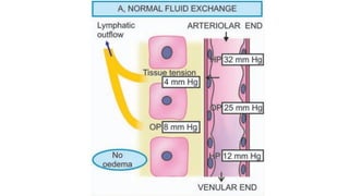 Edema ppt (definition , types of edema and more).pptx