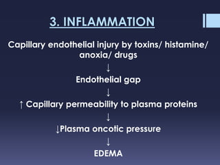Edema | PPTX