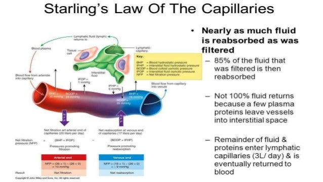 Approach to Pedal Edema (for undergraduates)