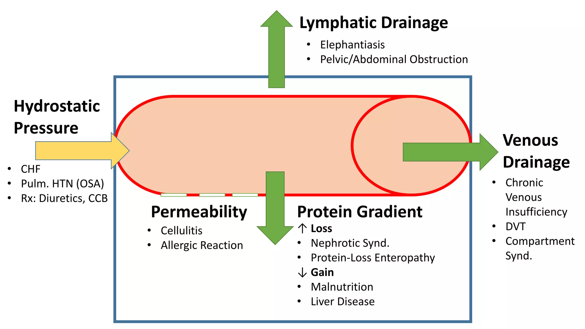 Edema Pathophysiology | PPTX