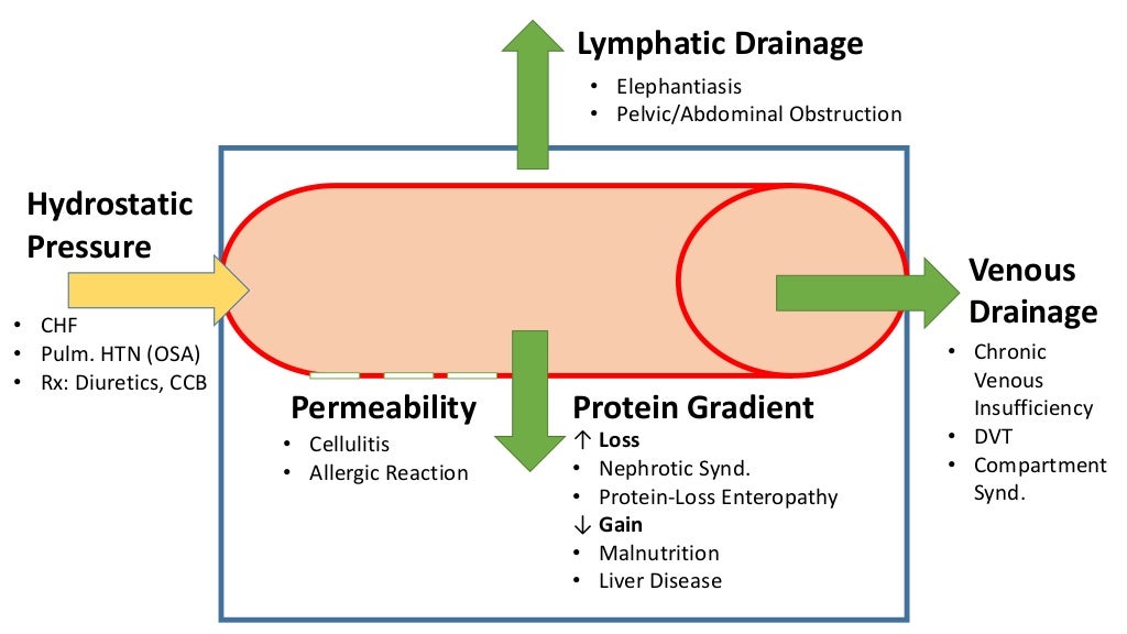 Edema Pathophysiology