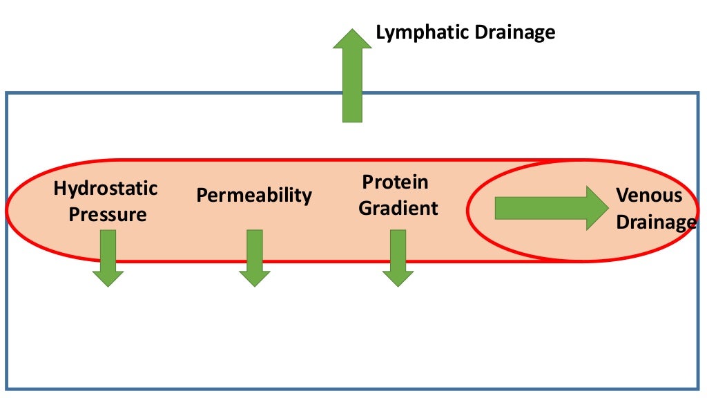 Edema Pathophysiology