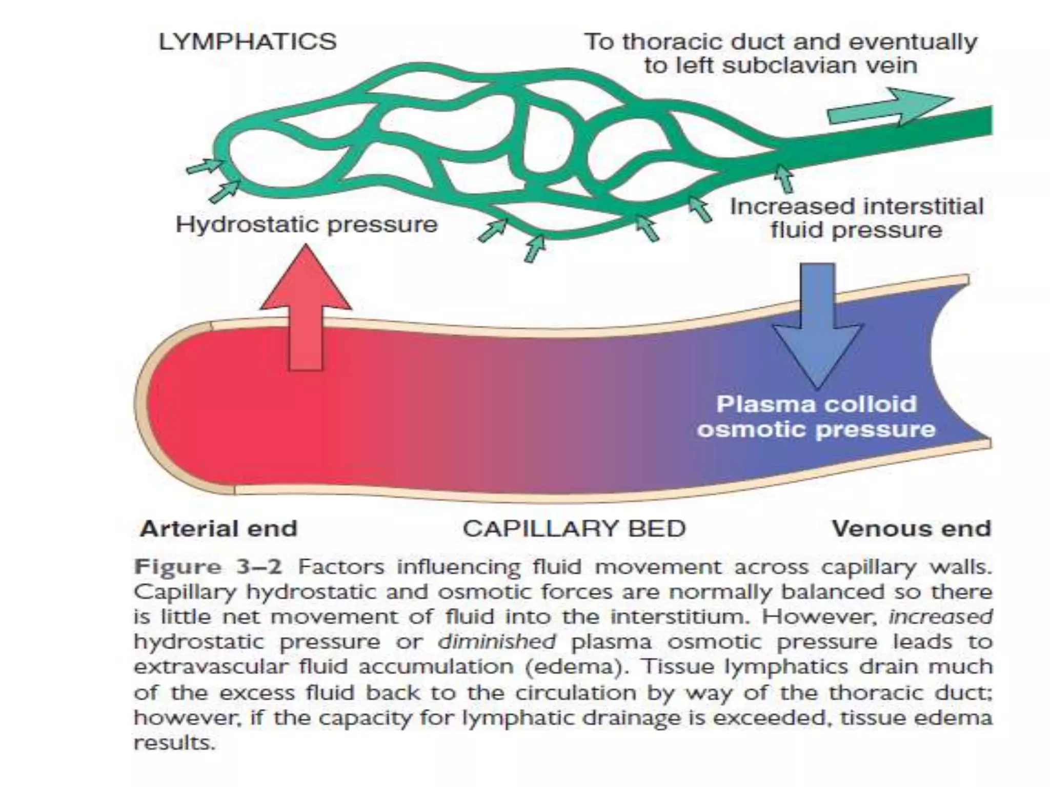 Edema | PPTX