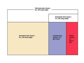 EDEMA, oedema, mechanism of edema, types | PPTX | Chemistry | Science