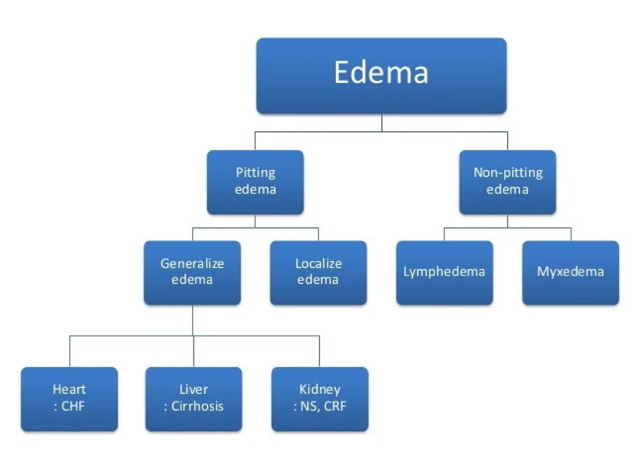 edema.ppt edema.ppt edema.ppt edema.pptedema.ppt