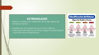 EDEMA, COMO SINTOMA, SEMIOLOGIA, CAUSAS UTILIZACION Y CORRELACION EN LA ...