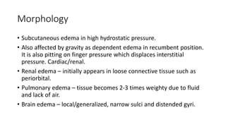 Edema and-effusions | PPTX