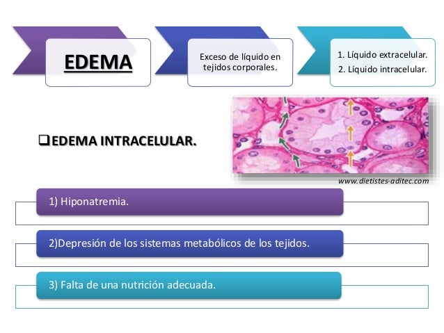 LOS COMPARTIMENTOS DEL LÍQUIDO CORPORAL: LIQUIDOS EXTRACELULAR E ...