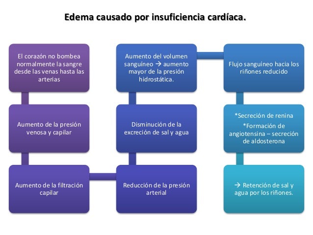 LOS COMPARTIMENTOS DEL LÍQUIDO CORPORAL: LIQUIDOS EXTRACELULAR E ...
