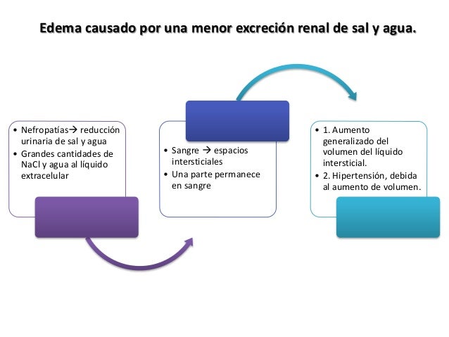 LOS COMPARTIMENTOS DEL LÍQUIDO CORPORAL: LIQUIDOS EXTRACELULAR E ...