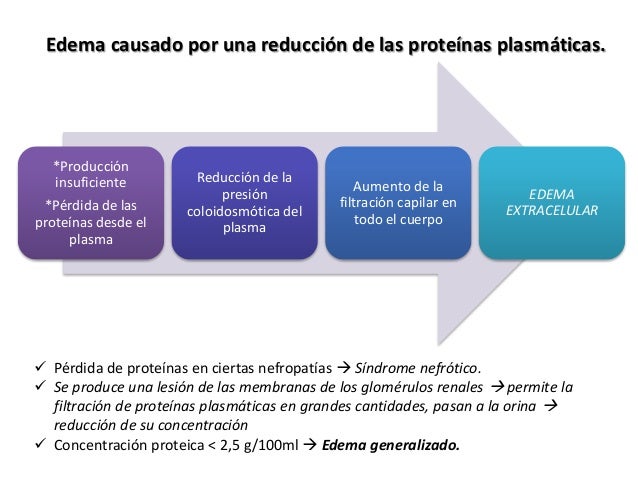 LOS COMPARTIMENTOS DEL LÍQUIDO CORPORAL: LIQUIDOS EXTRACELULAR E ...