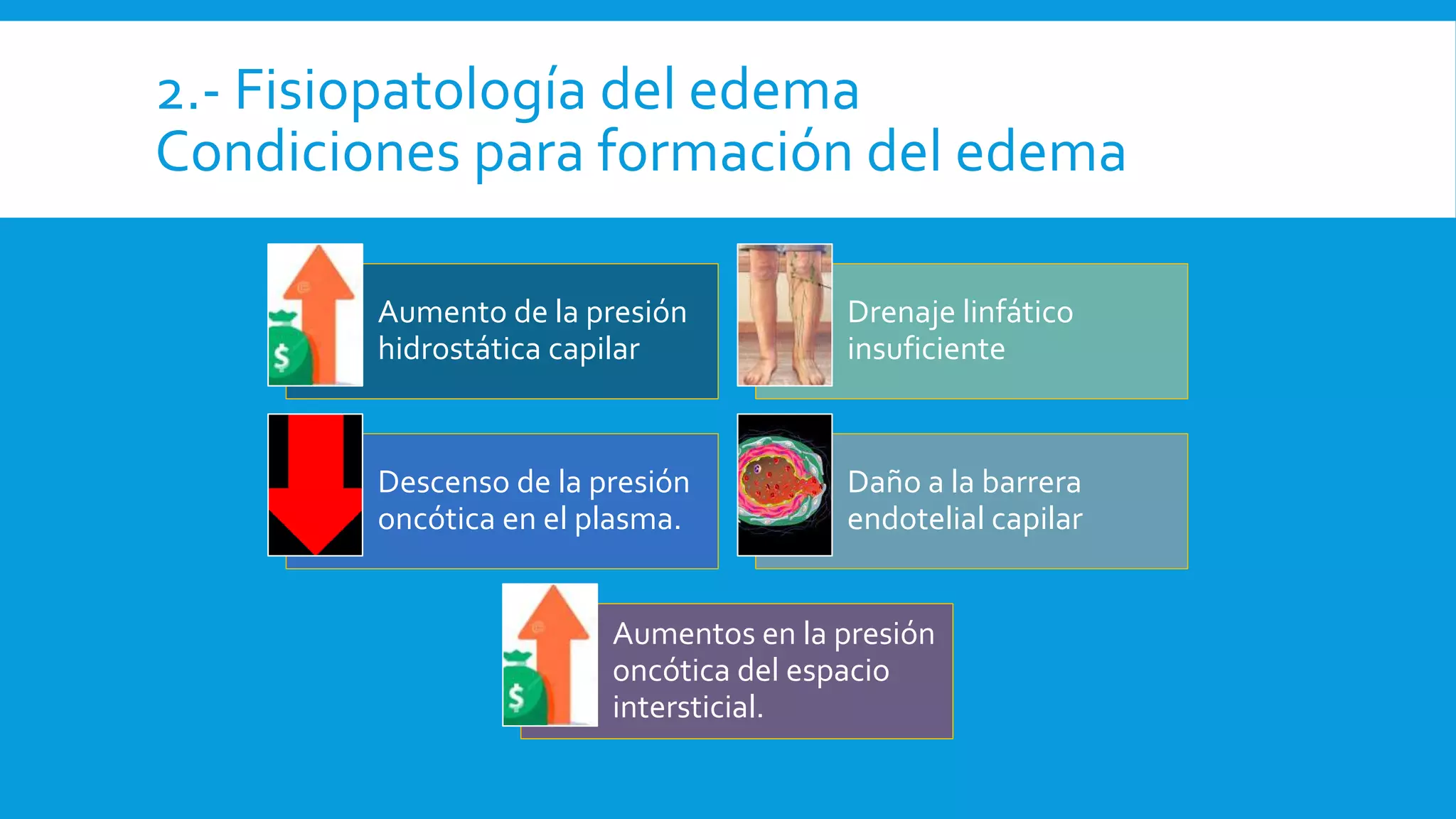 EDEMA 1 PARTE.pptx