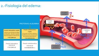 EDEMA 1 PARTE.pptx