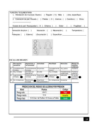 PROCESO DE ATENCIÓN ENFERMERÍA EDEMA AGUDO PULMONAR | DOCX
