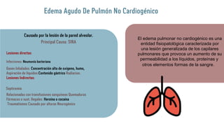 edema agudo de pulmon y su manejo en urgencias | PDF