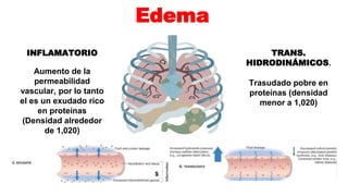 EDEMA AGUDO DE PULMON y tratamiento pptx | PPTX