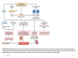 edema and shock Definition, pathogenesis and morphology | PPTX