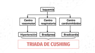 Edema cerebral e hipertensión endocraneana [Autoguardado].pptx