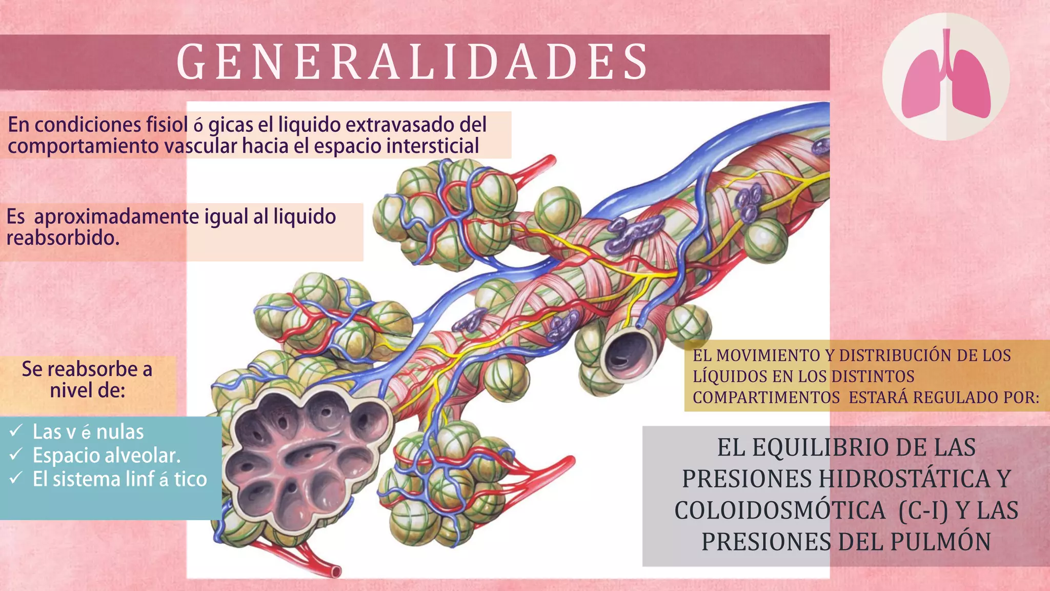 Edema de pulmon y sira | PDF | Lung and Respiratory Health | Diseases ...