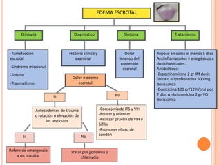 Cabestrillo De Edema Escrotal