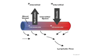 Edema pathogenesis,causes, approach.pptx