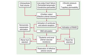 Edema pathogenesis,causes, approach.pptx