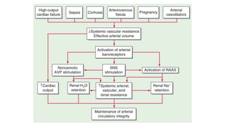 Edema pathogenesis,causes, approach.pptx