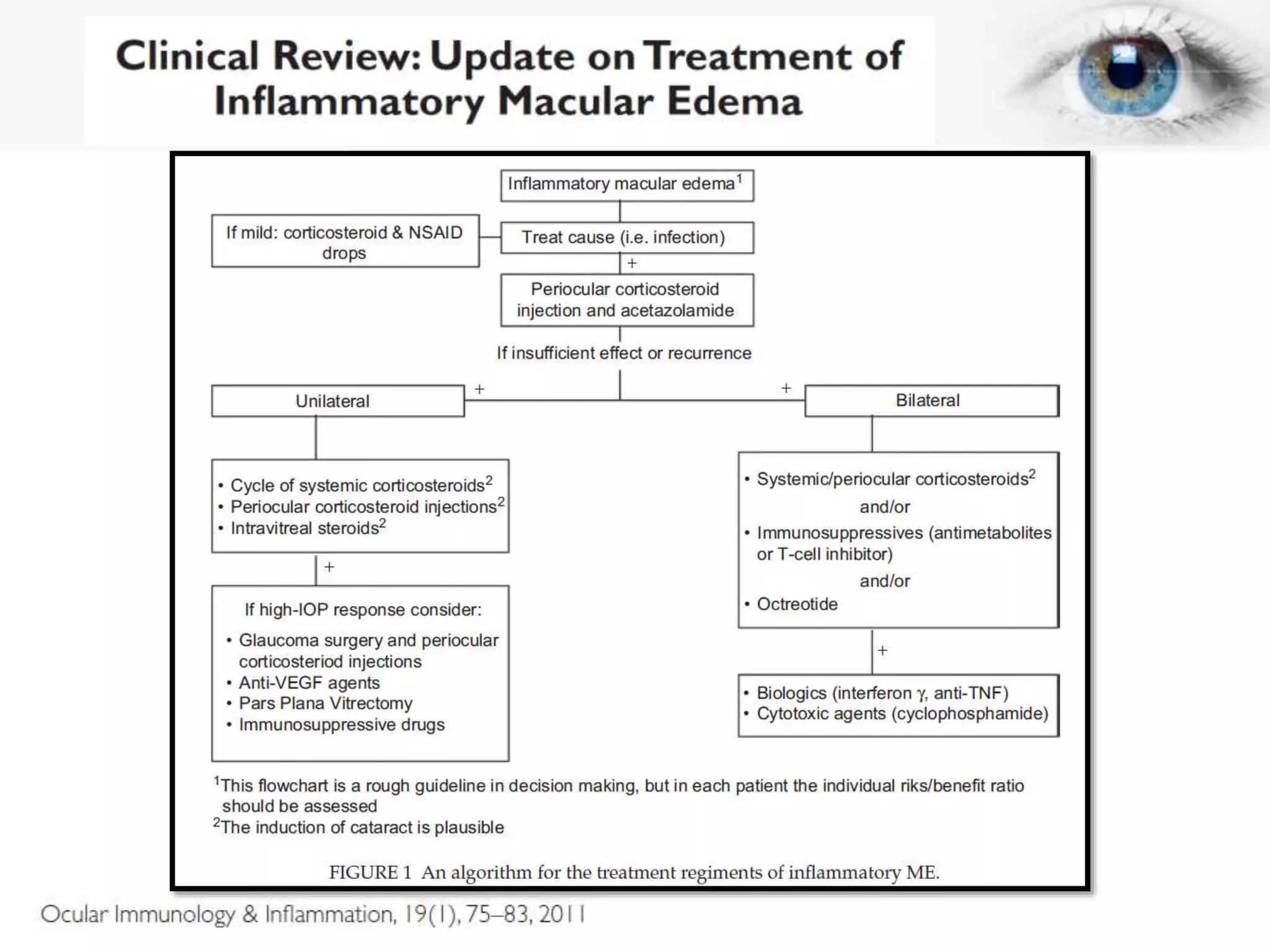 Edema macular uveítico def ronald sanchez | PPTX