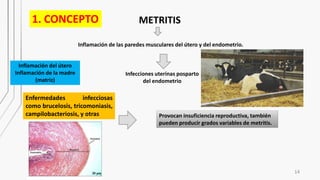 Edema maligno & Metritis | PPTX