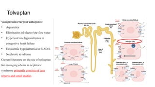 Management of Edema in chronic kidney disease | PPTX
