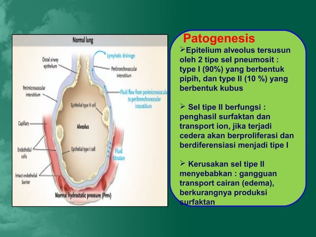 Edema paru | PPT