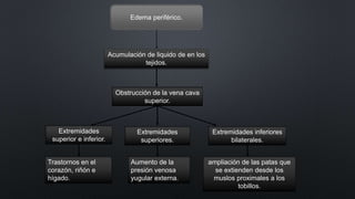 Edema periférico | PPTX