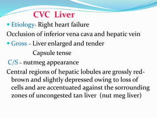Hyperemia and congestion edema | PPTX