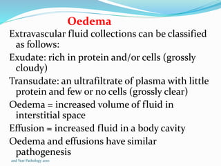 Hyperemia and congestion edema | PPTX